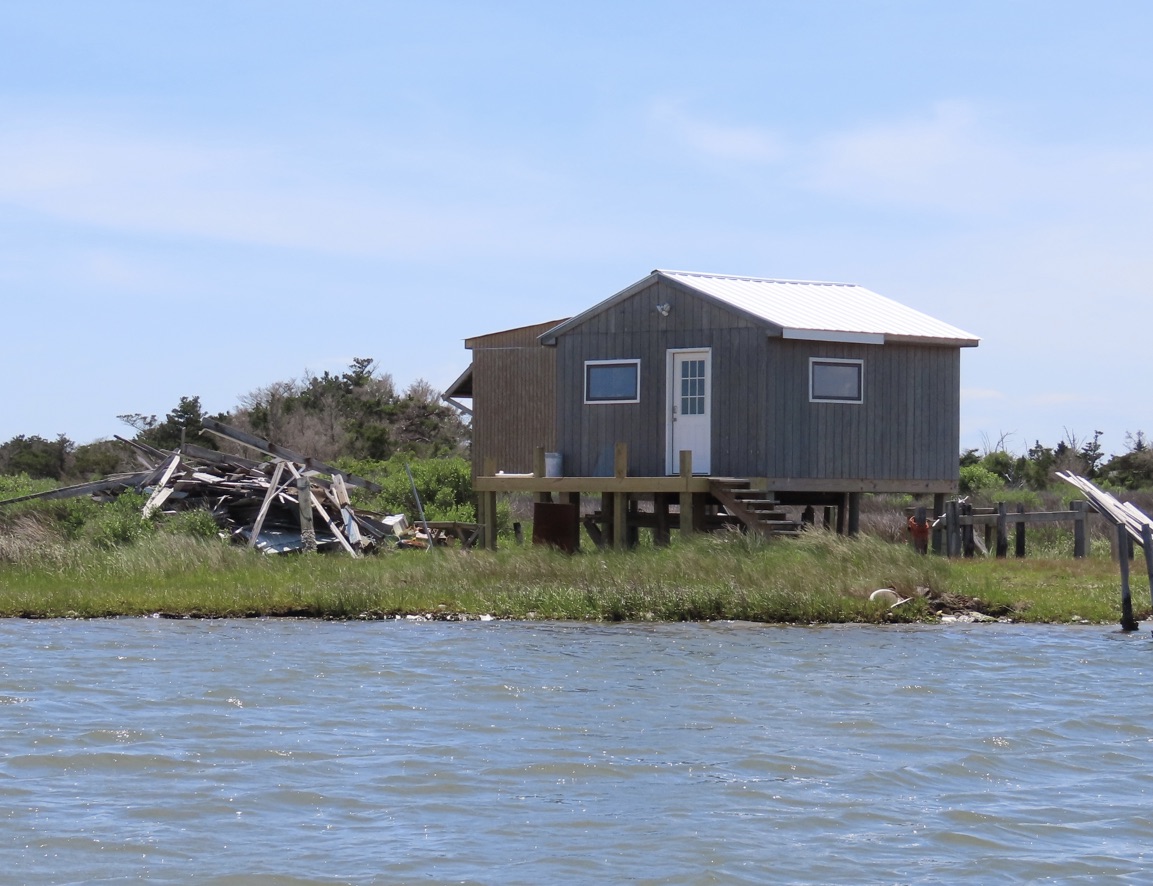 ROSS SALTER CAMP – The Cabin Culture of the Southern Outer Banks